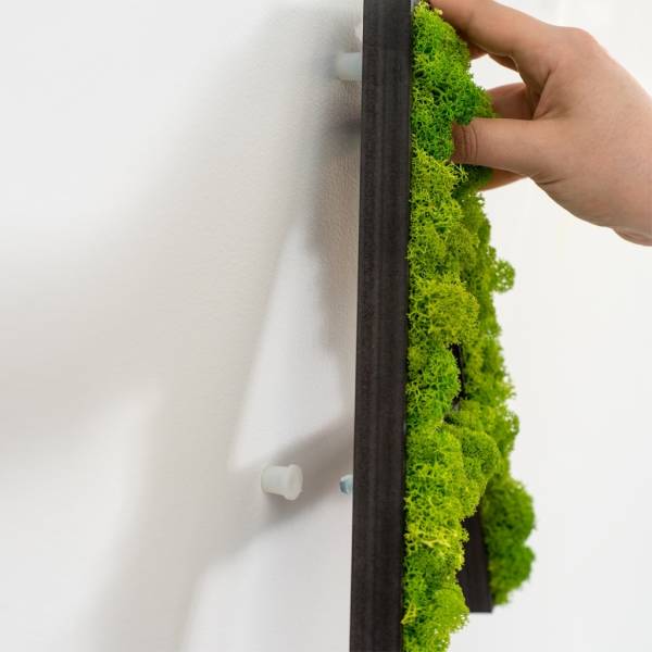 Buchstaben aus Moos – kreativ gestalten mit styleGREEN | Inwerk Büromöbel