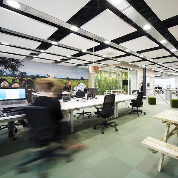 Akustik Deckensegel Rockfon Eclipse, quadratisch | Inwerk Büromöbel